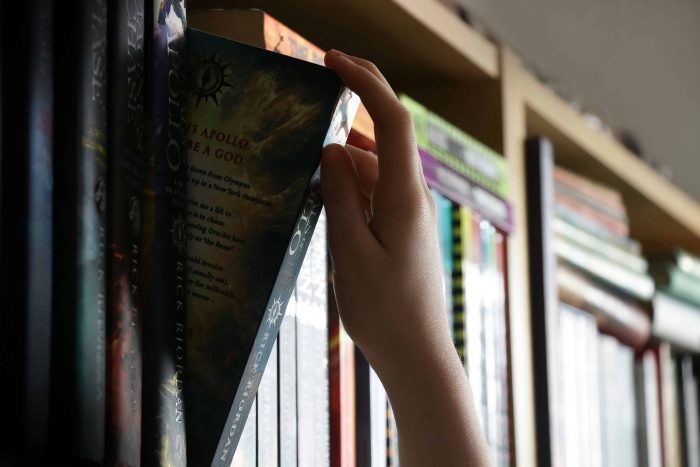 Expanding Horizons: The Crucial Role of Diversity in Literature in 2024 ...